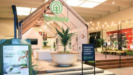 Dallas TreeHouse: A Model of Sustainability » Dallas Innovates